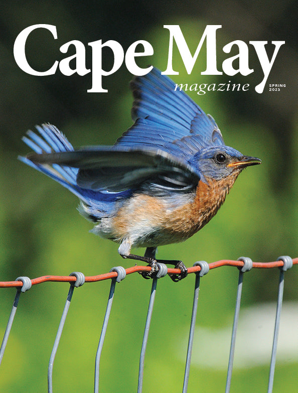 Spring 2023 - Cape May Magazine